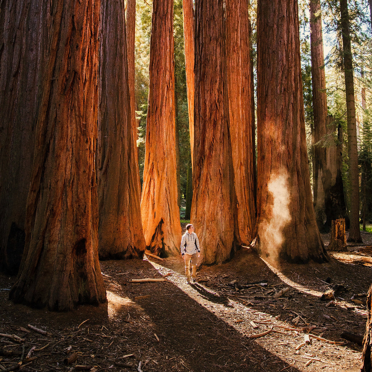 3 Reasons Nature Matters for Your Brain Health